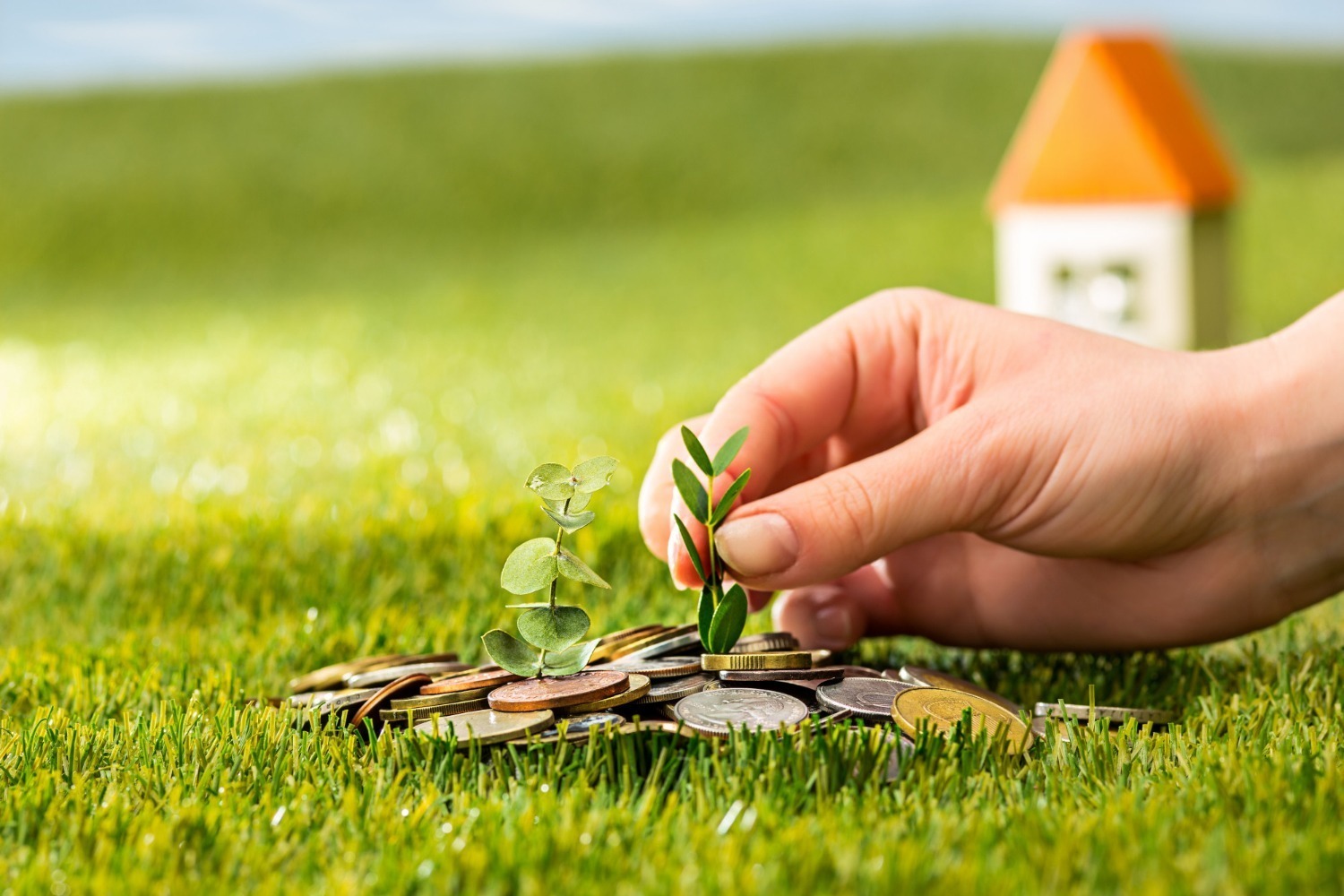 7 Reasons Why Land Is The Best Future Investment
